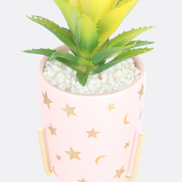 Galaxy Planter with Perched Terracotta pot - Homeobsession