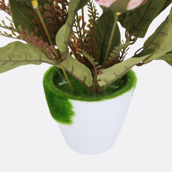 Blushing Plant Arrangement With Ductile Pot - Homeobsession